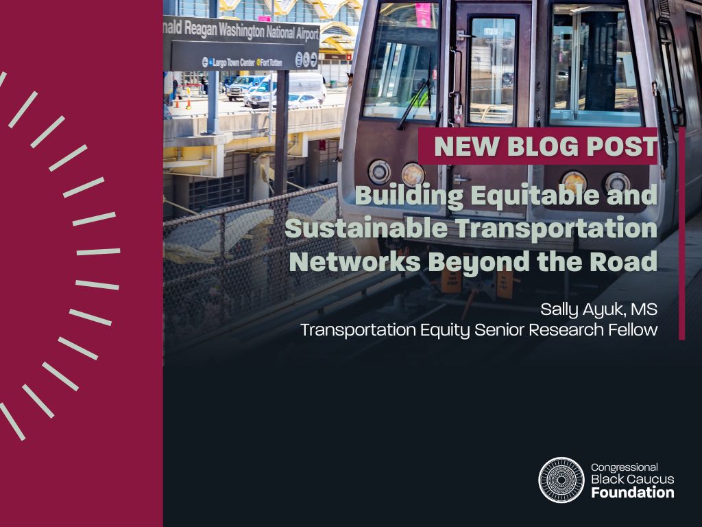 Building Equitable and Sustainable Transportation Networks Beyond the ...
